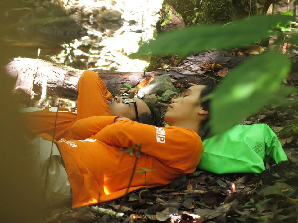APE GUARDIAN FELL ASLEEP DURING PATROL | COP Centre for Orangutan ...