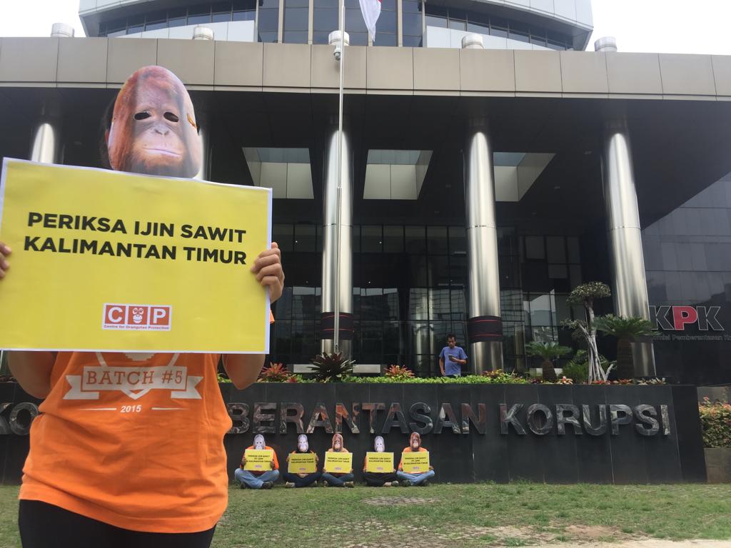 THREATENING ORANGUTAN, PALM OIL COMPANY, PT. GPM REPORTED TO KPK | COP ...